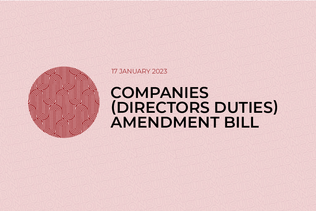 Companies (Directors Duties) Amendment Bill, Economic Development ...